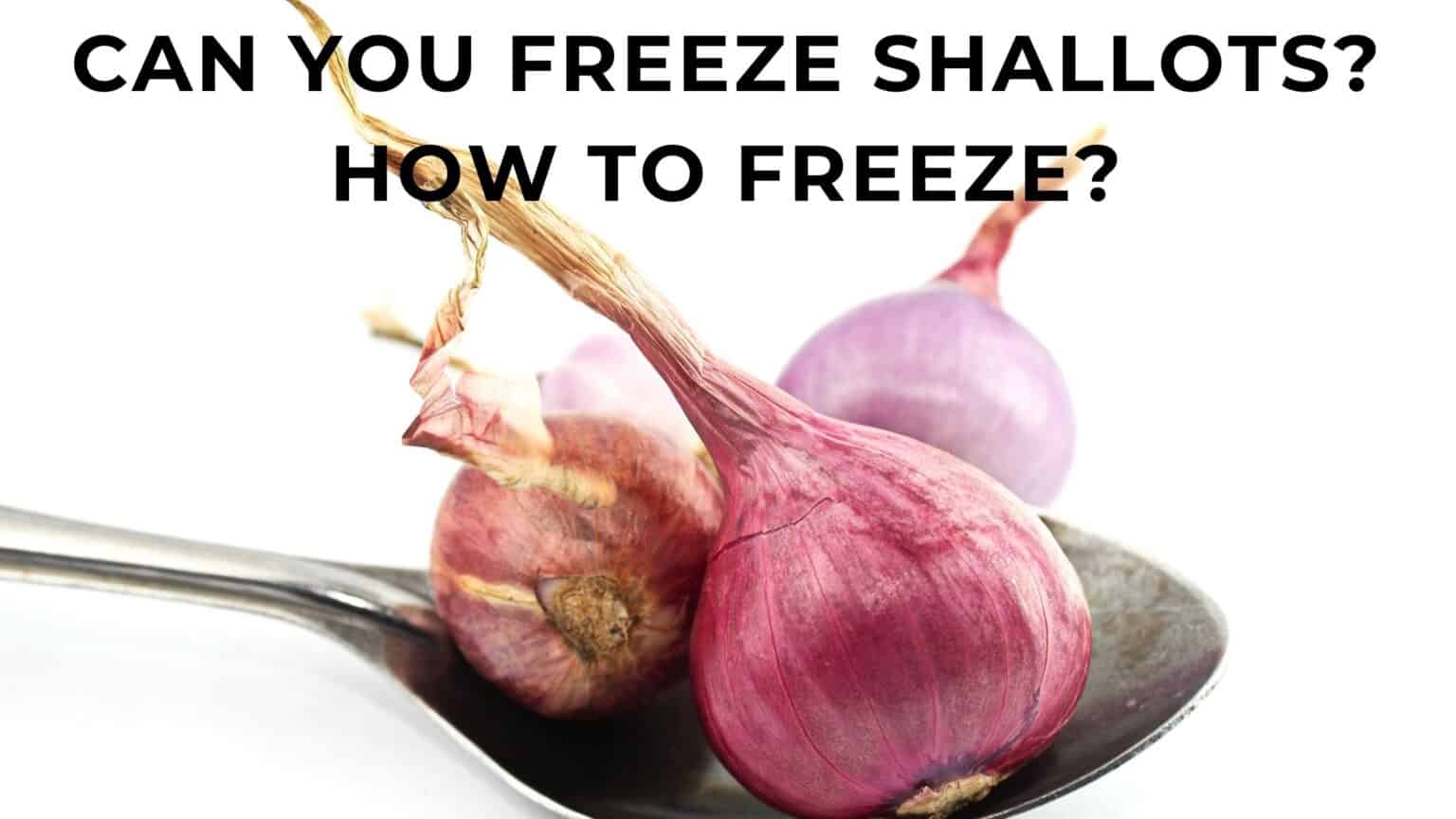 Can you freeze shallots? How to do this? - FOODANDKITCHENAPPLIANCES