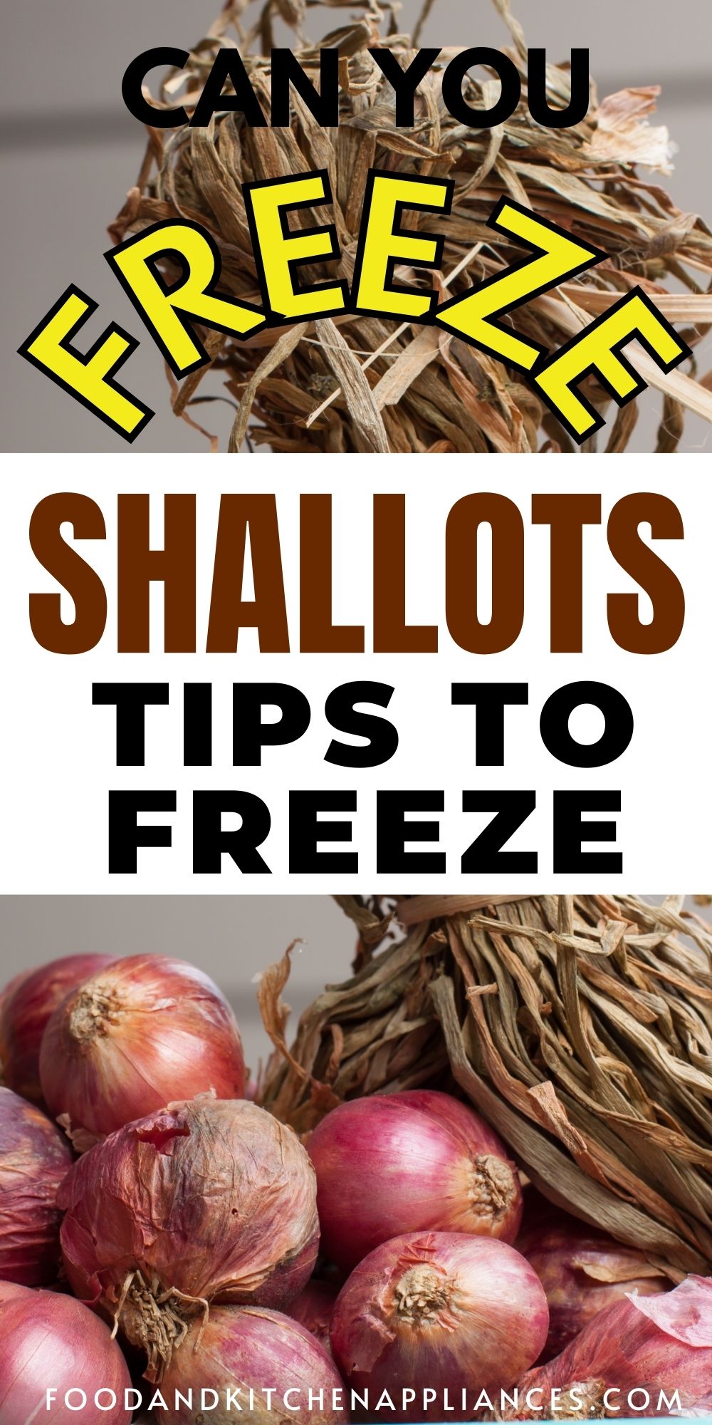 Can you freeze shallots? How to do this? - FOODANDKITCHENAPPLIANCES