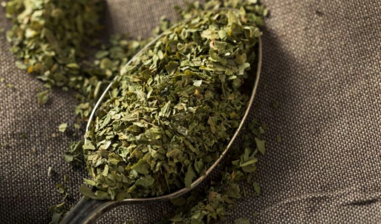 How To Dry Cilantro and store it ? A Step-by-Step Guide ...