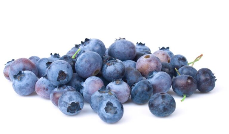 How Long Do Blueberries Last in the Fridge? - FOODANDKITCHENAPPLIANCES